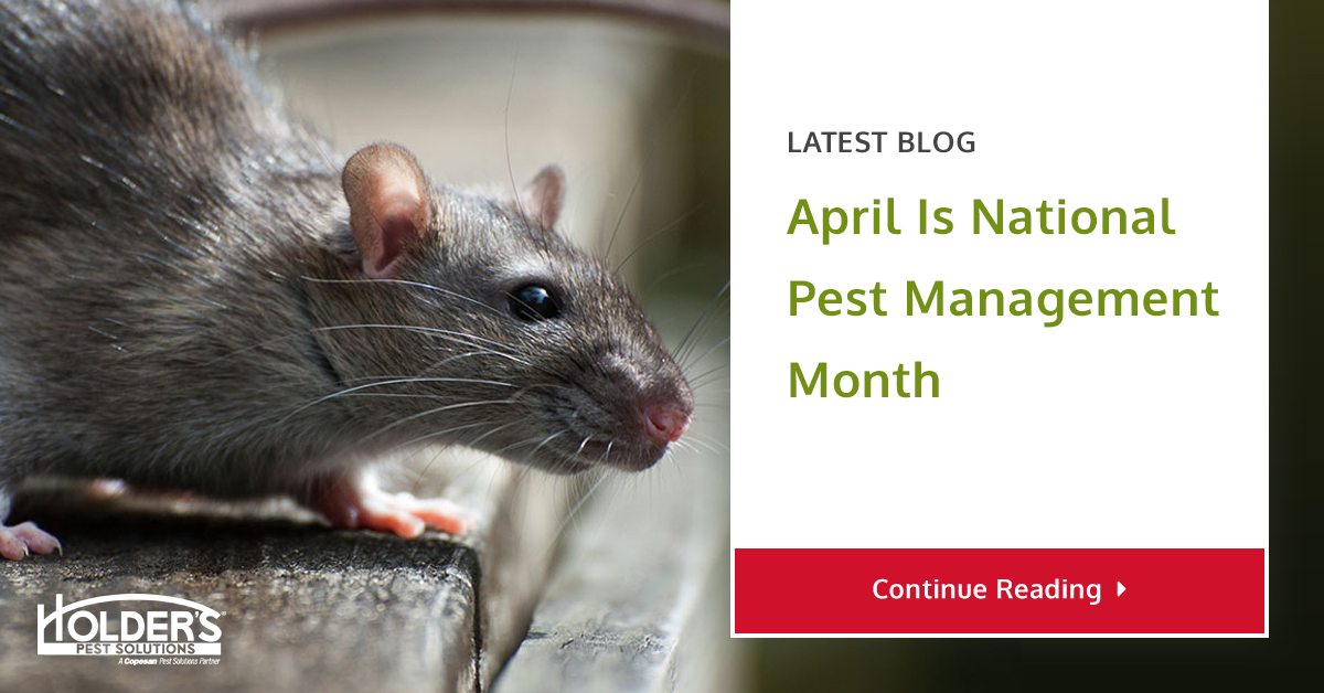 National Pest Management Month | Holder's Pest Solutions