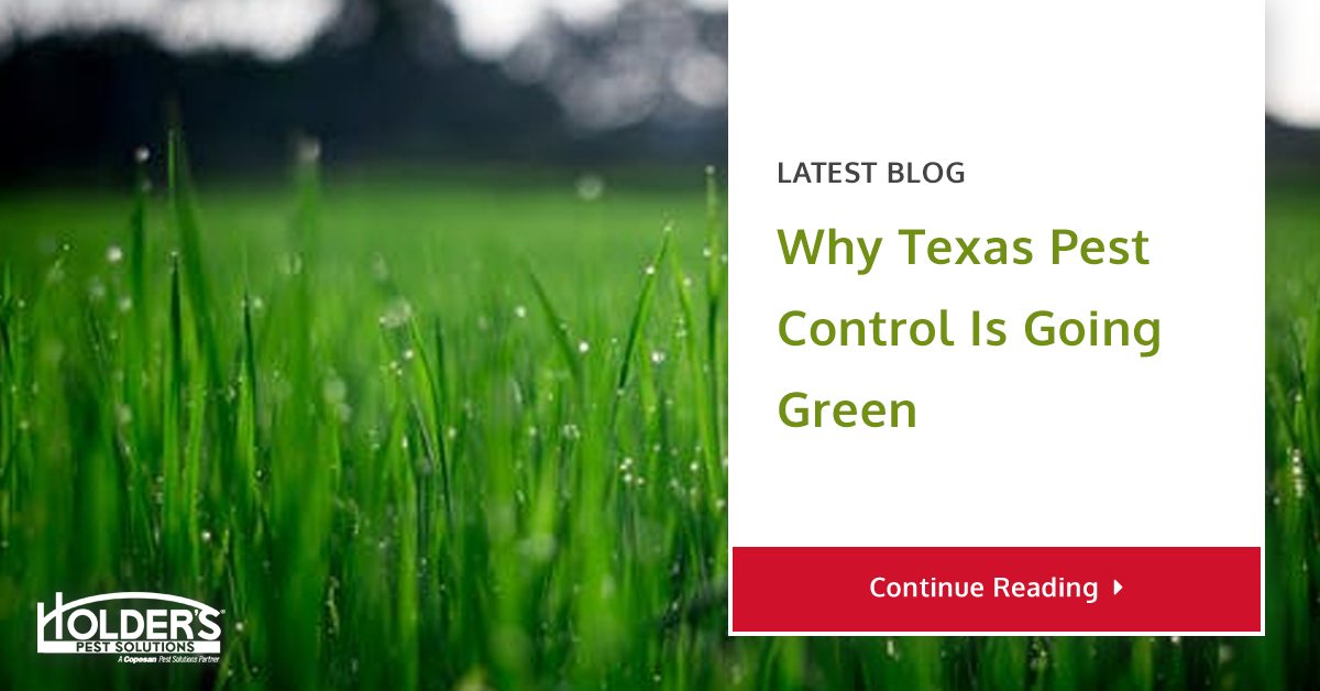 Why Is Pest Control Going Green? | Green Pest Control in Texas