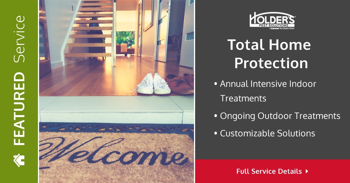 Preventive Pest Control | Houston Pest Prevention | Holder's Pest Solutions