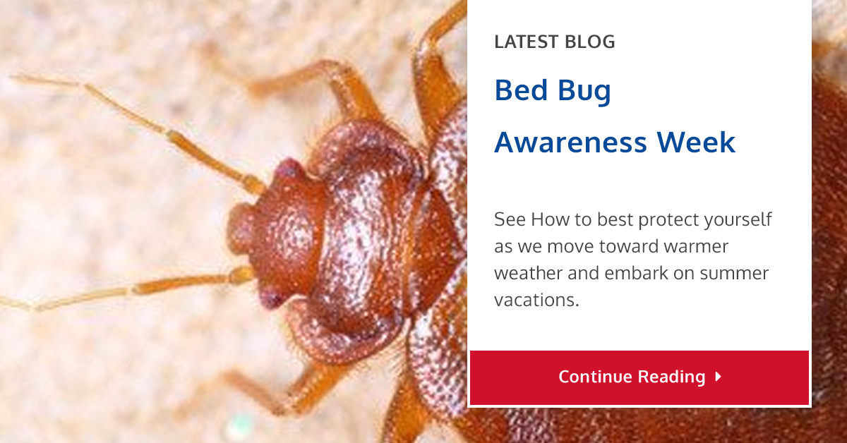 Bed Bug Week | Bed Bug Extermination | Holder's Pest Solutions
