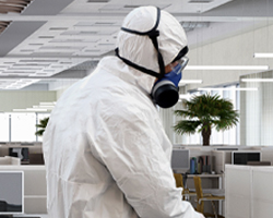Commercial Pest Control Services Houston | Holder's Pest Solutions